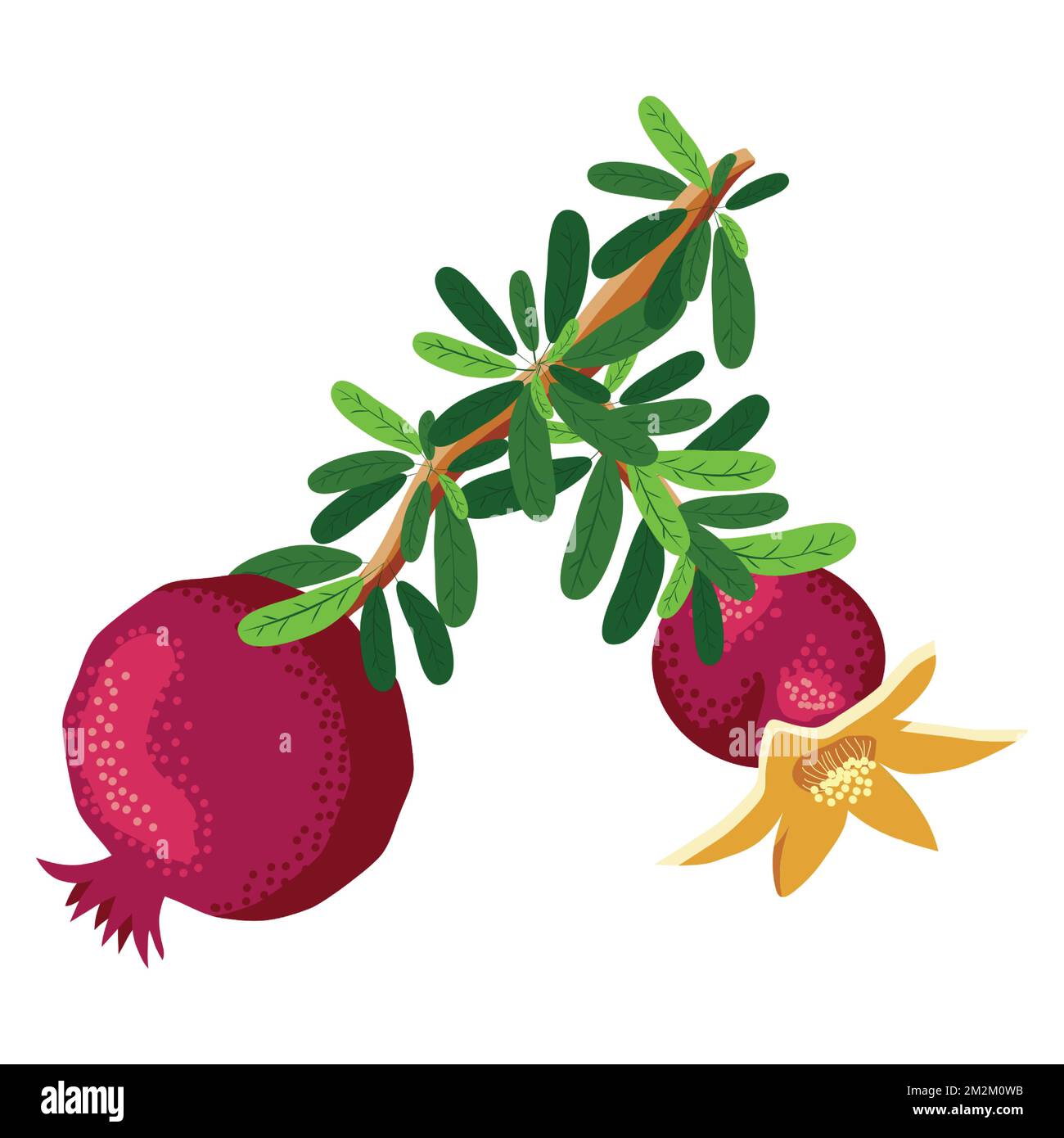 Pomegranate branches with fruits and flowers. Symbol of good luck ...