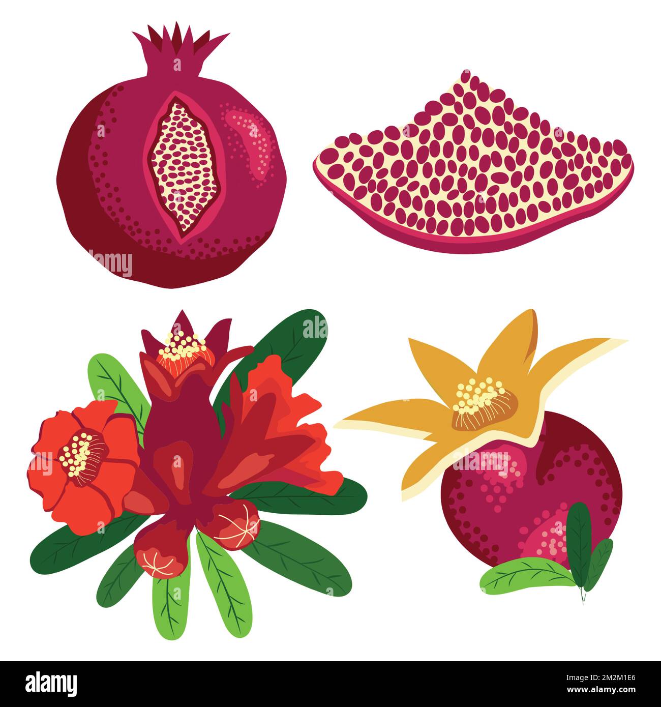 Set pomegranate fruit segment. Pomegranate whole and pieces, cut with ...