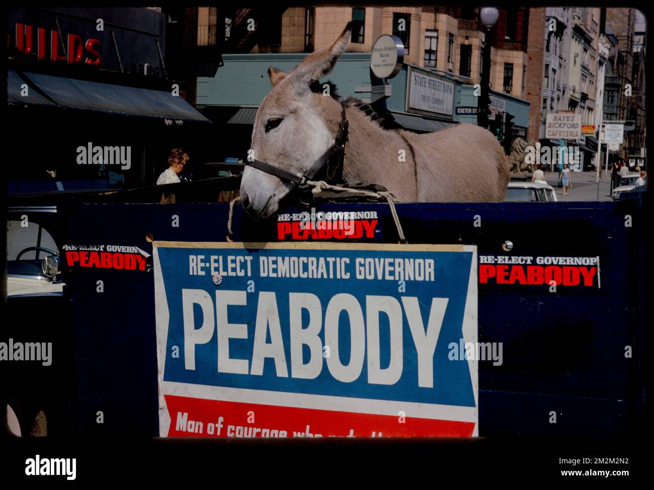 Donkey with 'Re-elect Democratic Governor Peabody' sign , Donkeys ...
