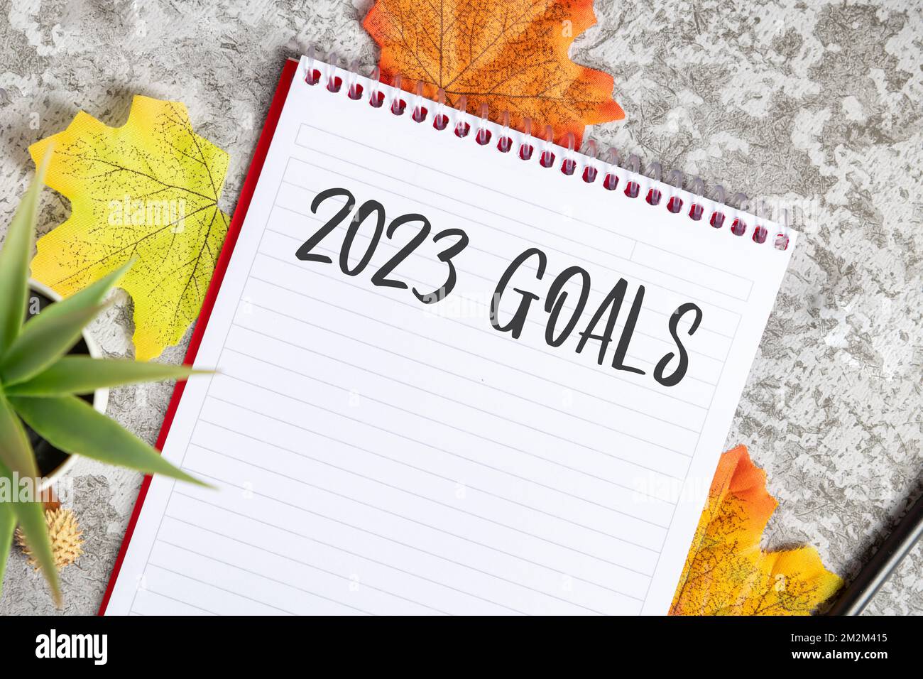 2023 goals hi-res stock photography and images - Alamy