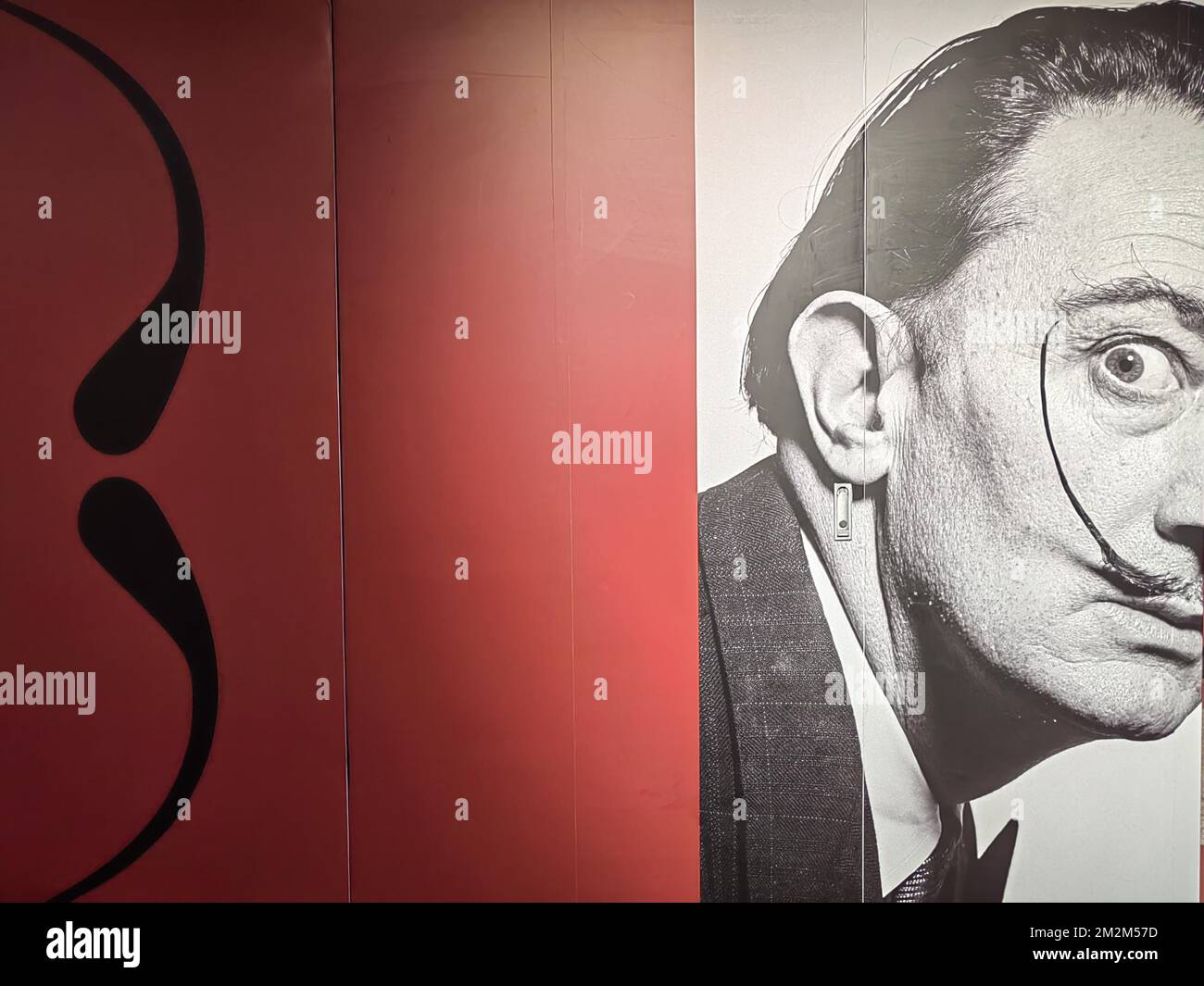 "Salvador Dalí - Magic and Reality" exhibition at the Middle Longhua ...