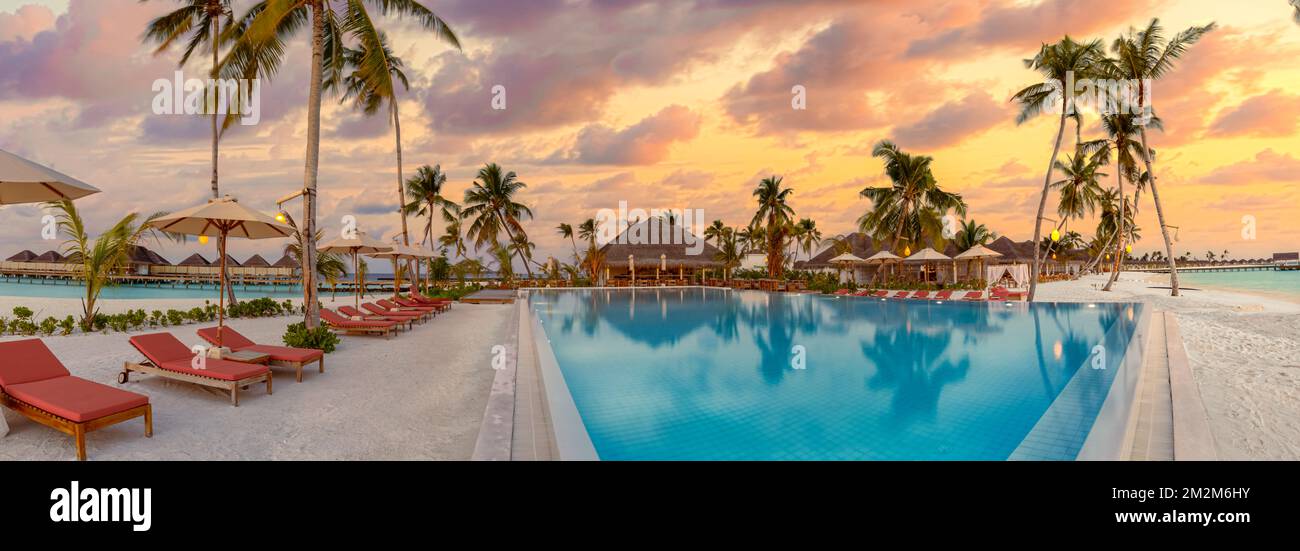 Fantastic panoramic poolside, sunset sky, palm trees. Luxury tropical beach landscape, infinity ...