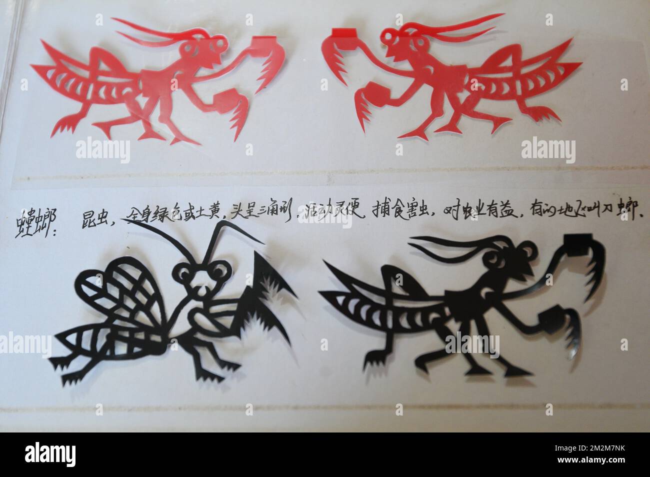 The paper-cutting works made by Mrs Wu in Taiyuan City, north China's ...