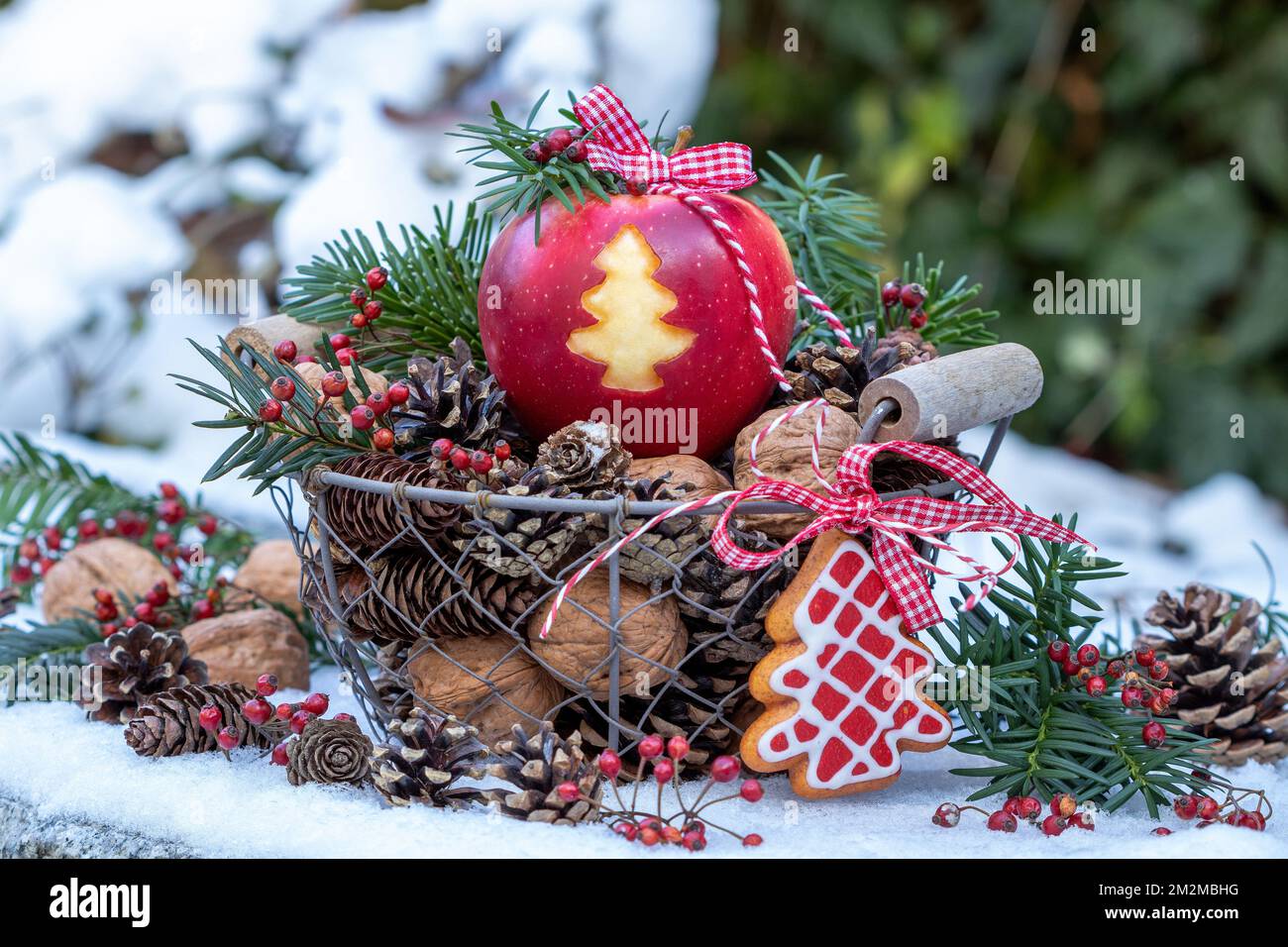 apple with christmas tree ornament in basket with cones and walnuts as ...