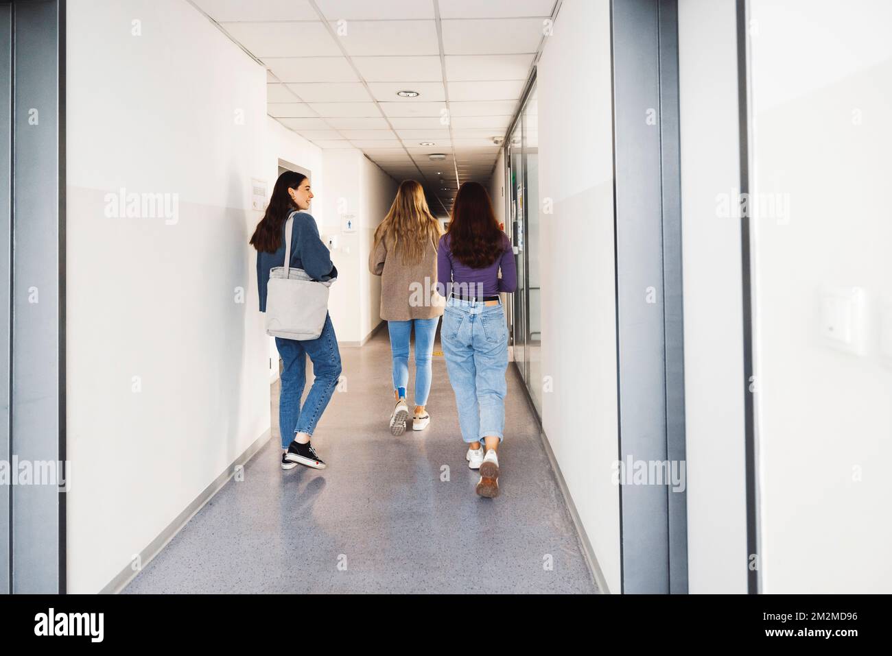 View from the back three friends walking in the hallway, searching for ...