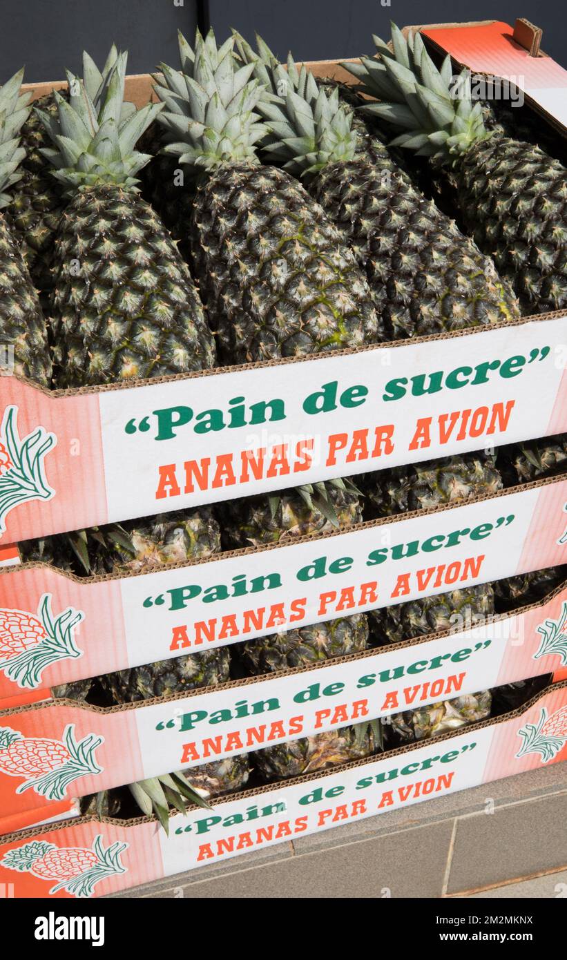 Illustration picture shows pineapple "Pain de Sucre" during a visit to ...