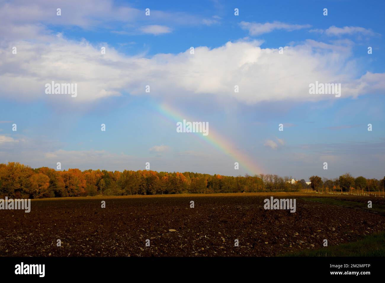 Rainbow over tree in beautiful light hi-res stock photography and ...