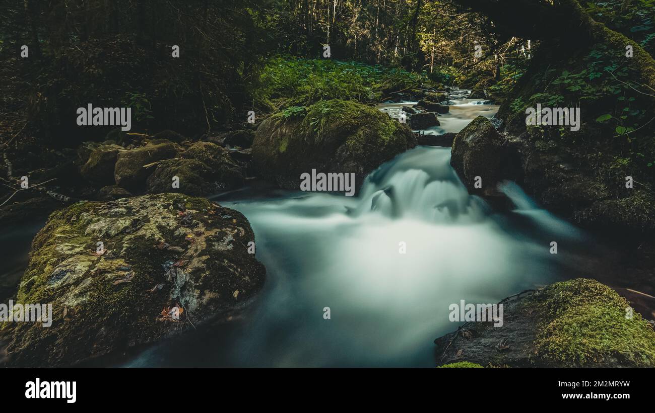 A long exposure of a river in a forest Stock Photo - Alamy