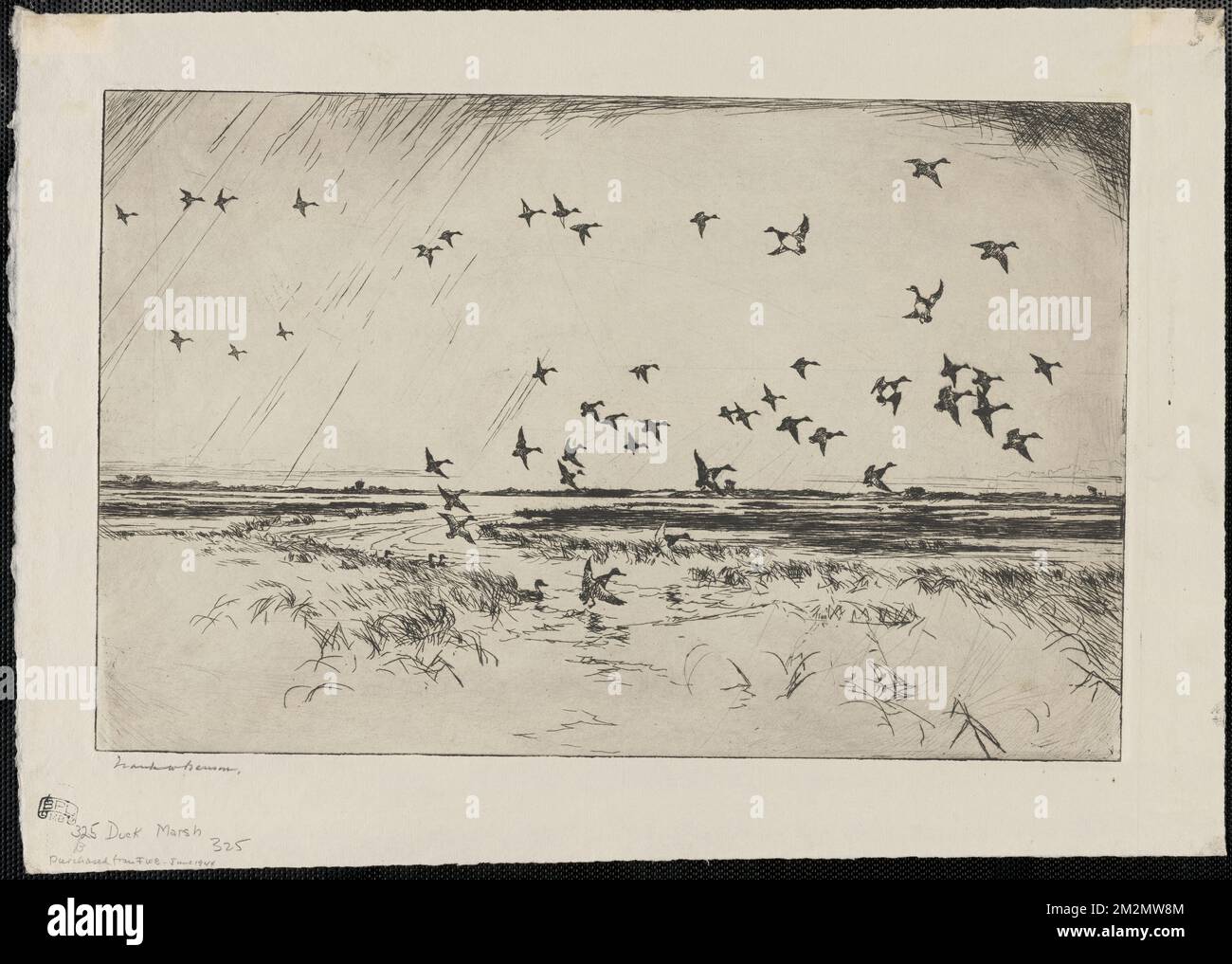 Duck marsh , Wetlands, Ducks, Flying, Rain. Frank W. Benson (1862-1951 ...