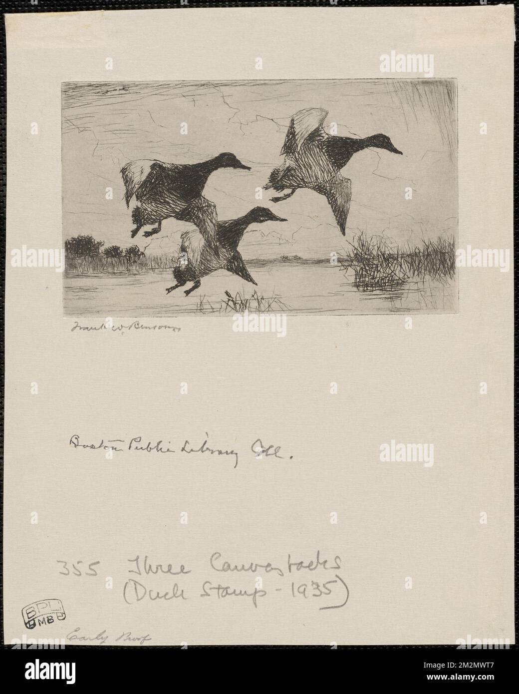 Duck stamp design , Ducks, Flying, Canvasback. Frank W. Benson (1862 ...