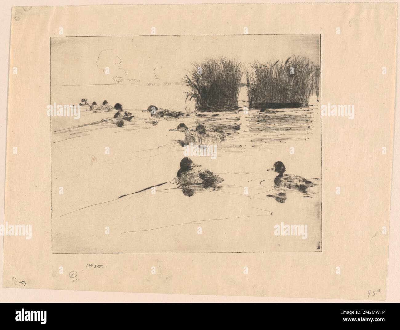 Ducks , Ducks, Bodies of water. Frank W. Benson (1862-1951). Prints and ...