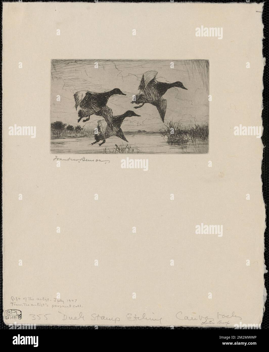 Duck stamp design , Ducks, Flying, Canvasback. Frank W. Benson (1862 ...