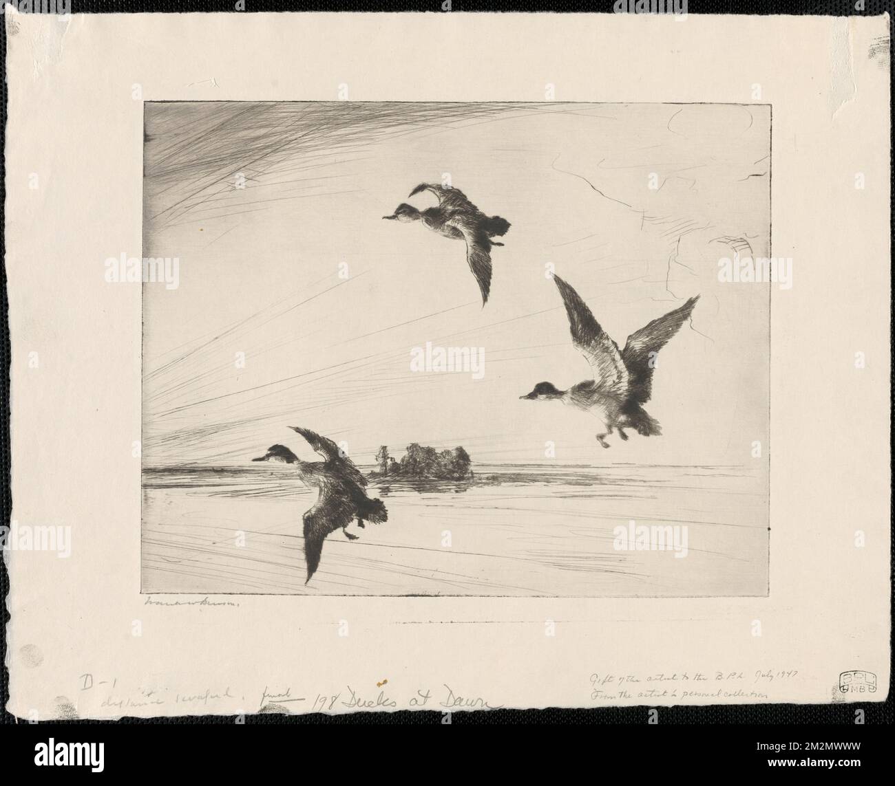 Ducks at dawn , Ducks, Flying. Frank W. Benson (1862-1951). Prints and ...