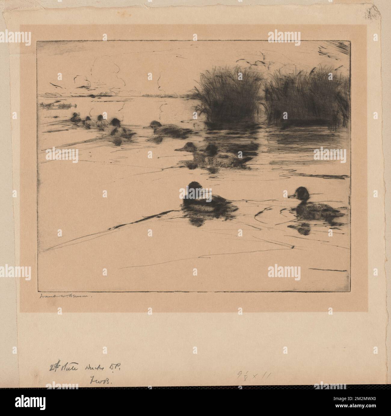 Ducks , Ducks, Bodies of water. Frank W. Benson (1862-1951). Prints and ...