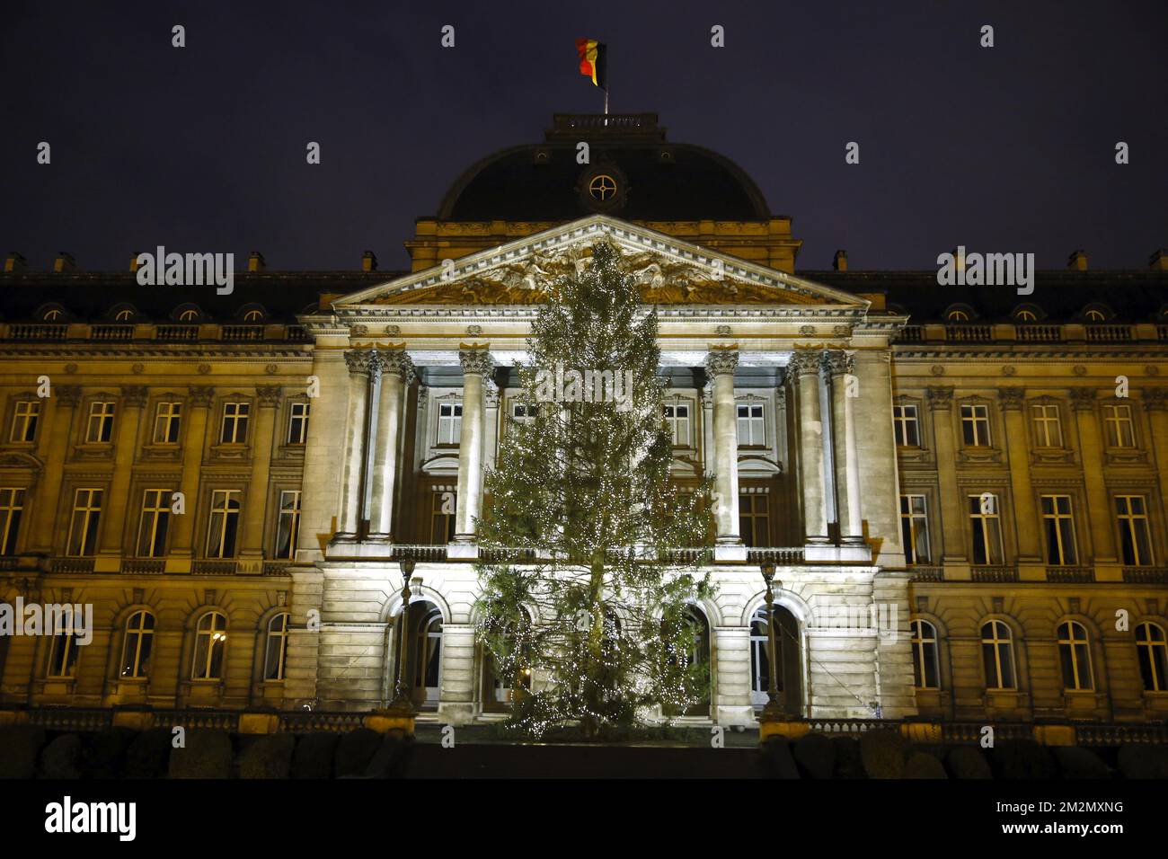 Illustration picture shows The Christmas tree at the Royal Palace in ...
