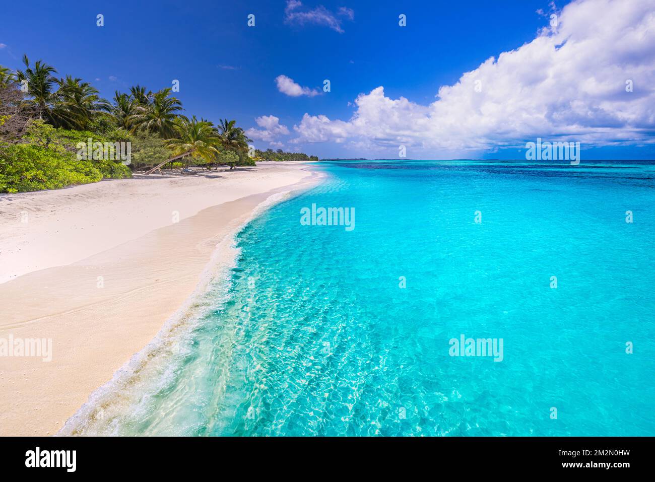 Beautiful, relaxing outdoor landscape of tropical island beach. Palm ...