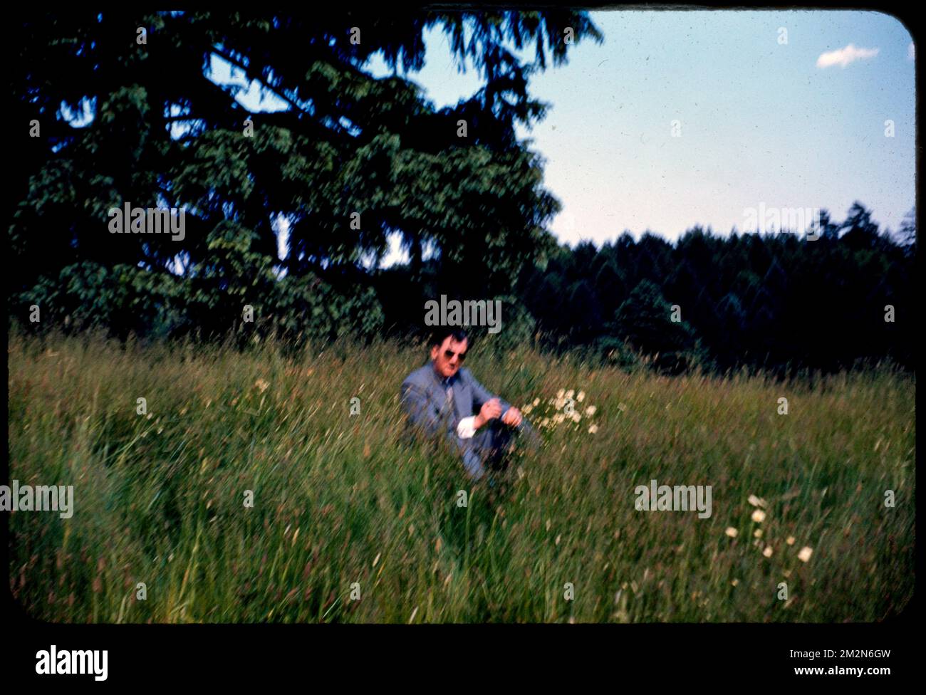 E. L. Mitchell, Arnold Arboretum , Botanical gardens, Arnold Arboretum ...
