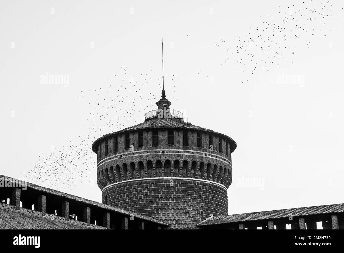 A grayscale of the Sforzesco Castle in Milan, Italy Stock Photo - Alamy
