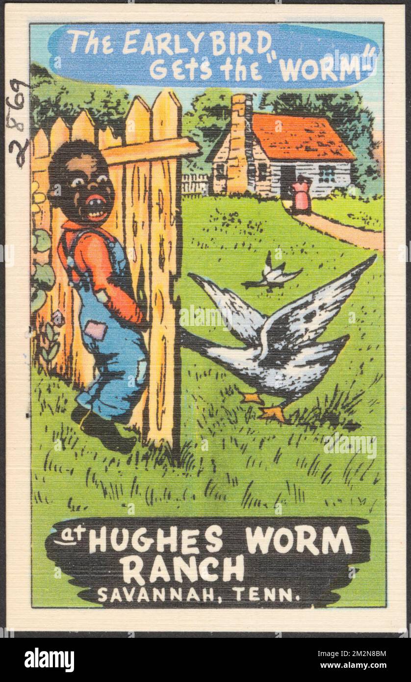 The early bird gets the 'worm' at Hughes worm ranch, Savannah, Tenn ...
