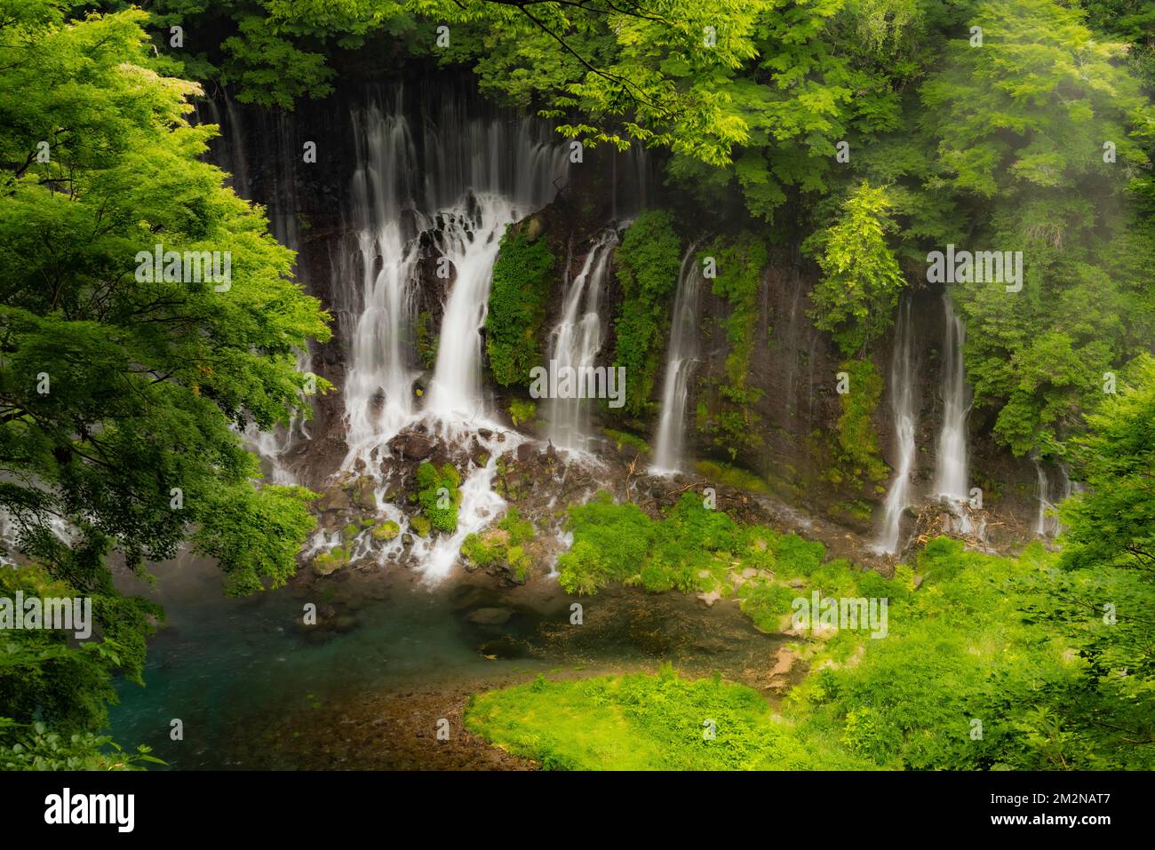 The Shira-Ito Falls (shira=white + ito=thread) on the Shiba River are a ...