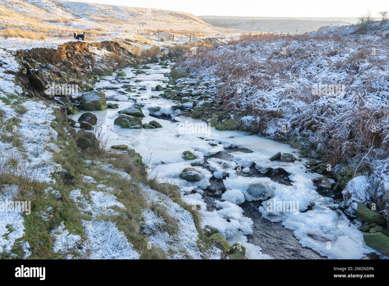 Frozen moorland stream in Northumberland, UK Stock Photo - Alamy