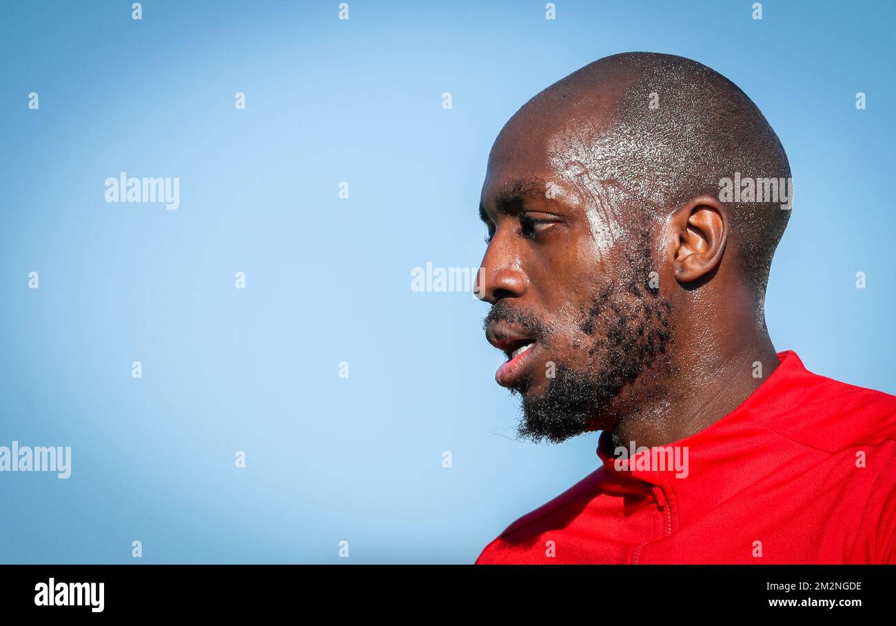 Standard's Luis Pedro Cavanda pictured during the fourth day of the ...