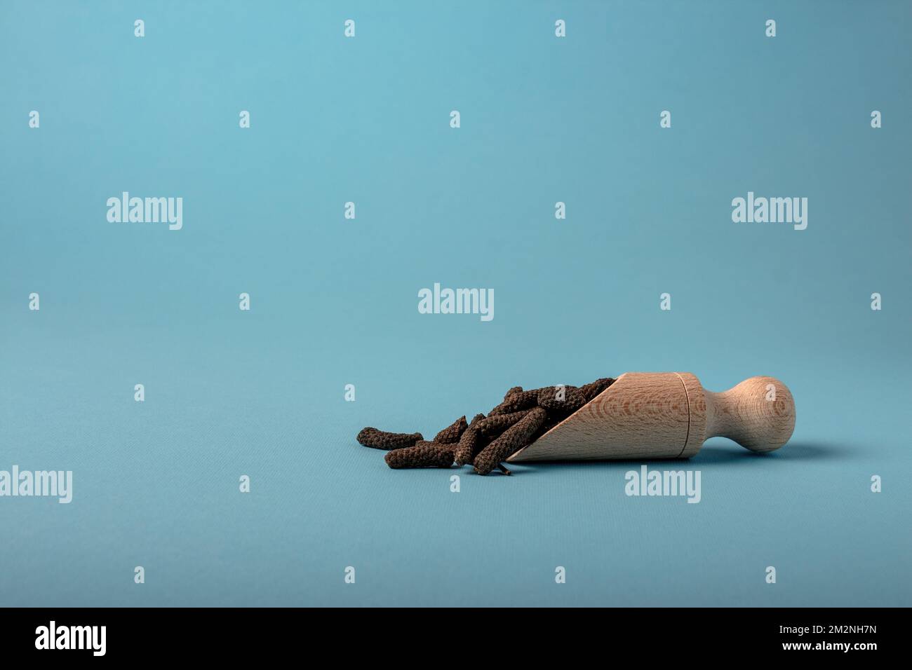 Dry Indian long pepper . Piper Longum ,Piper retrofractum, Long pepper ...