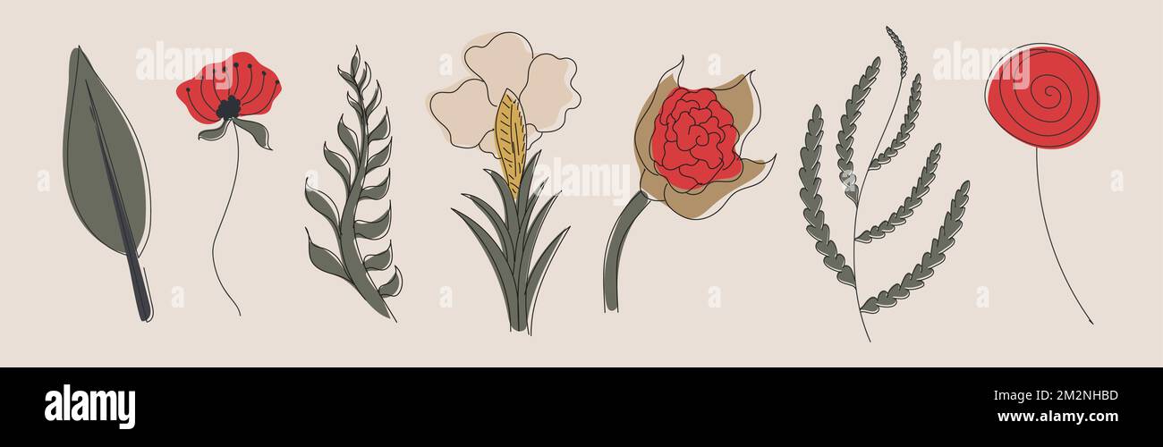 Flower graphic design. Vector set of floral elements with hand drawn ...