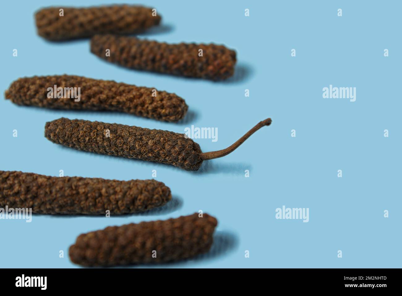 Dry Indian long pepper . Piper Longum ,Piper retrofractum, Pippali ...