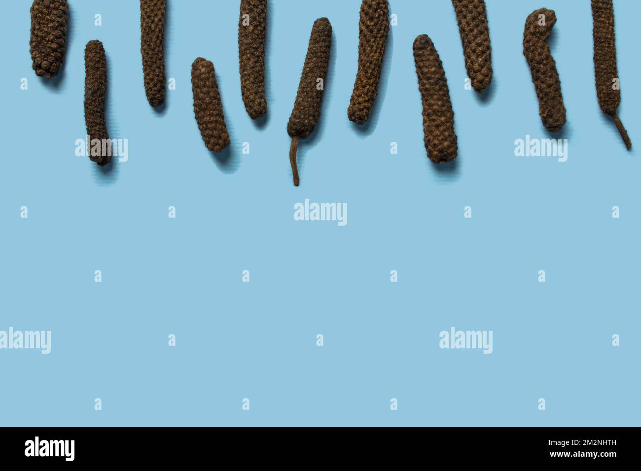 Dry Indian long pepper . Piper Longum ,Piper retrofractum, Pippali ...