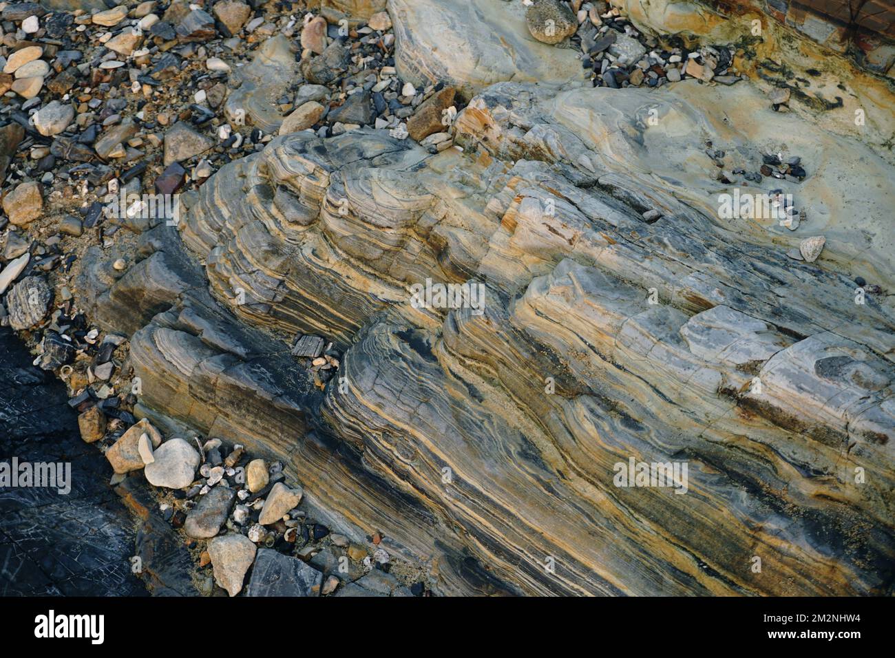 An alien-like rock texture background with pebbles Stock Photo - Alamy