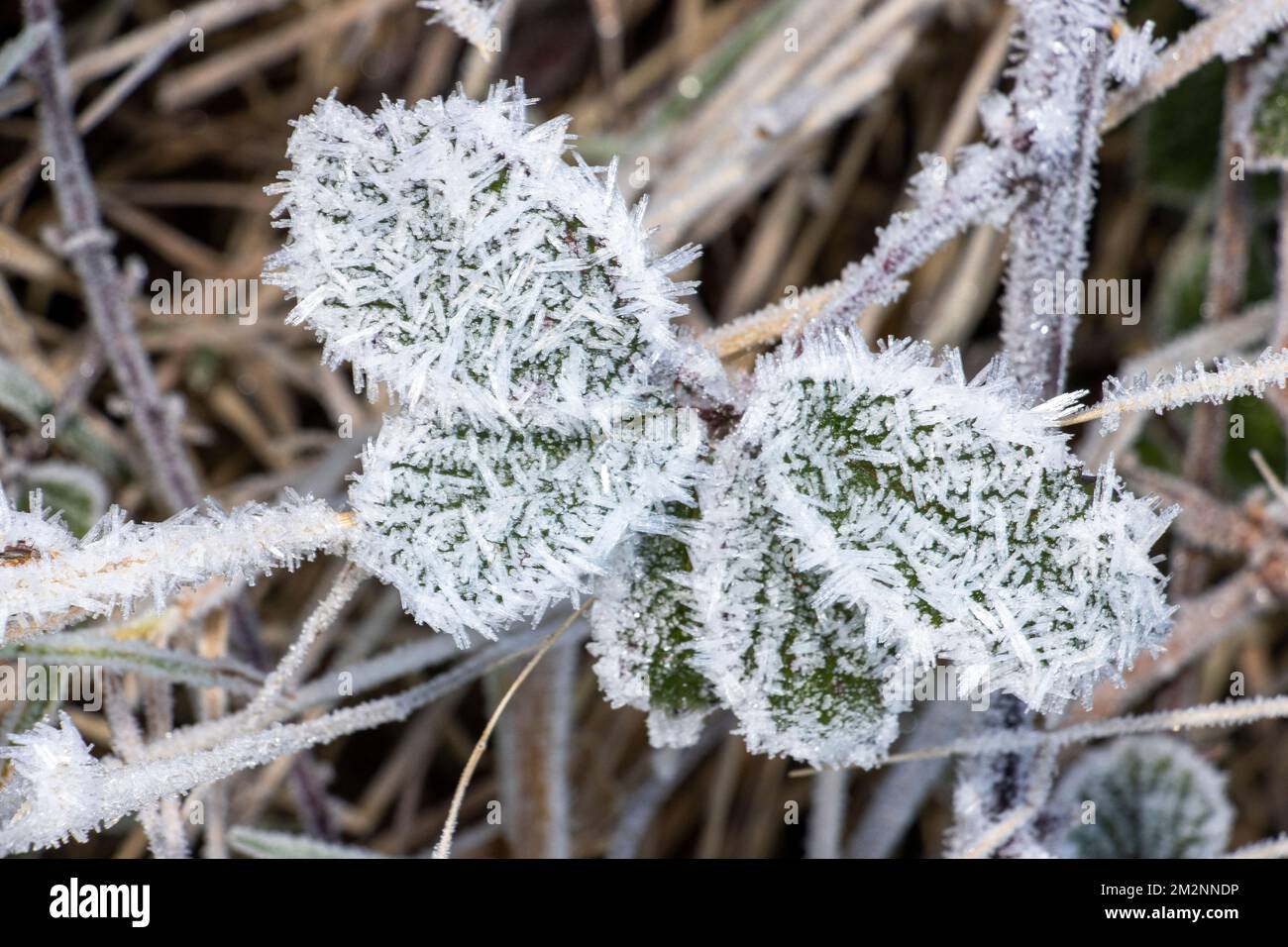 During the so-called Troll from Trondheim cold snap in December 2022 ...