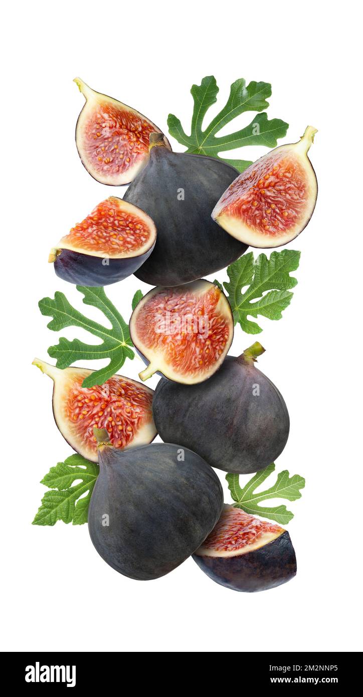 Flying half, piece and whole figs isolated on white background ...