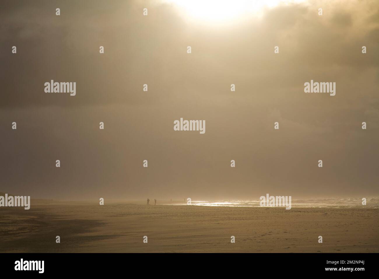 Romantic scene, two people walking in distance on beach in golden, hazy ...
