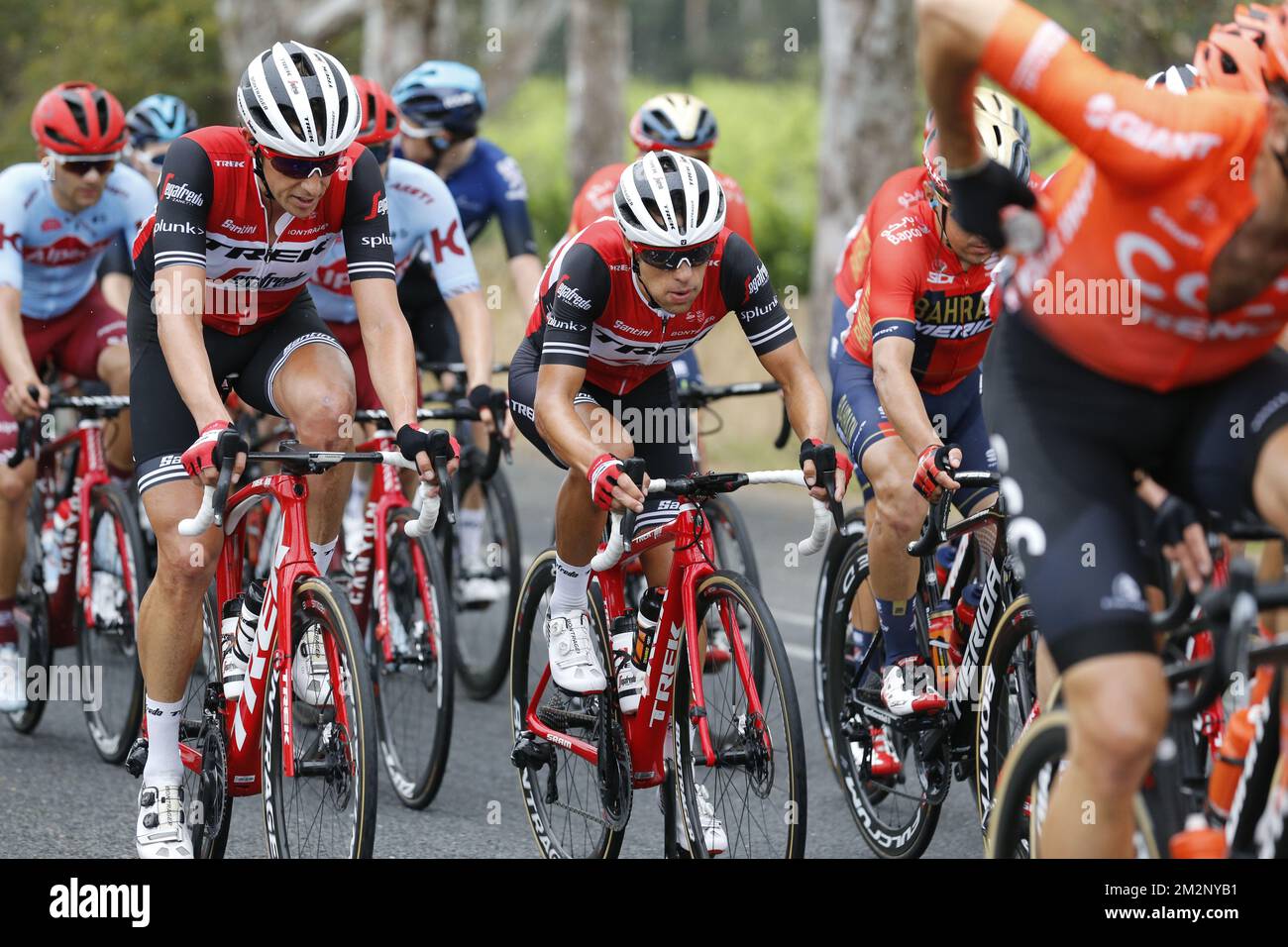 New Zealand Patrick Bevin of CCC Team, leader of the Points ...