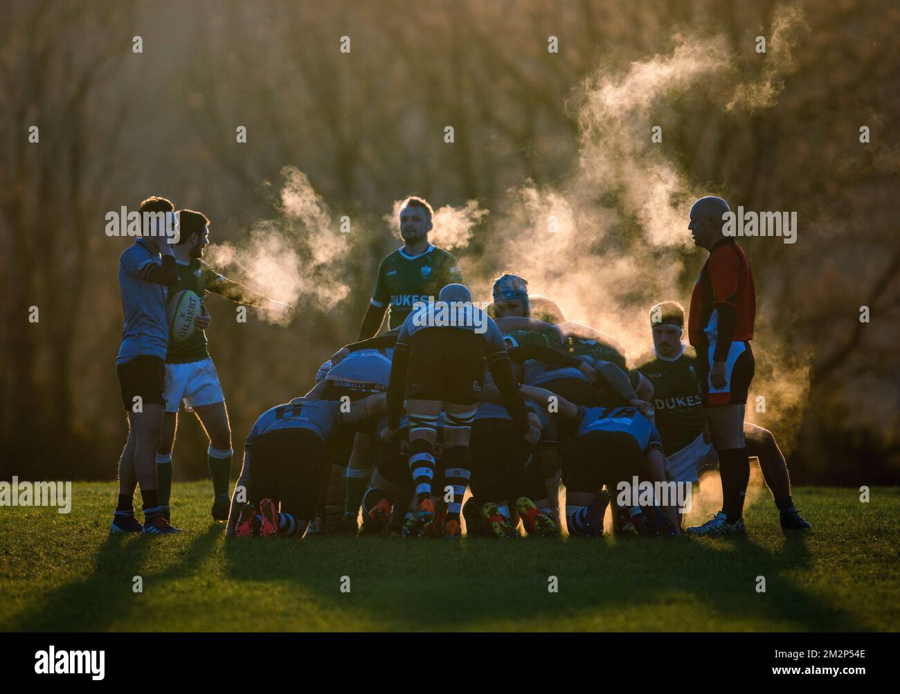 Rugby players in action Stock Photo - Alamy