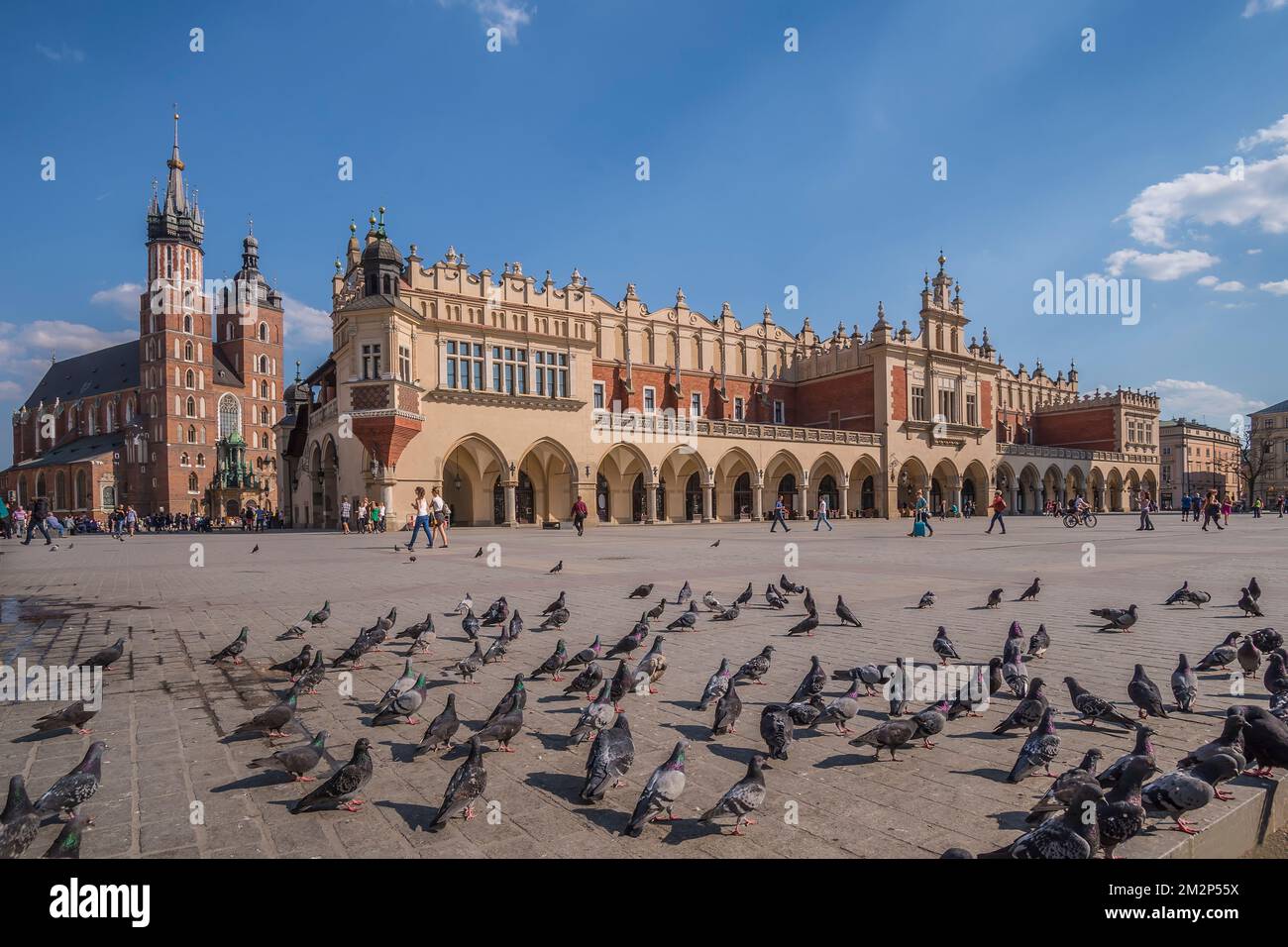 Market Square and Cloth Hall, Krakow, Poland Stock Photo - Alamy
