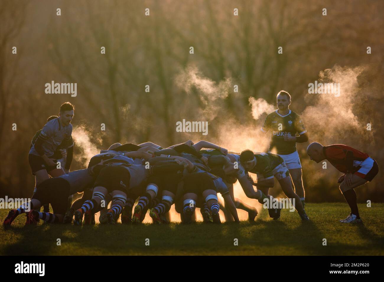 Action from the scrum hi-res stock photography and images - Alamy