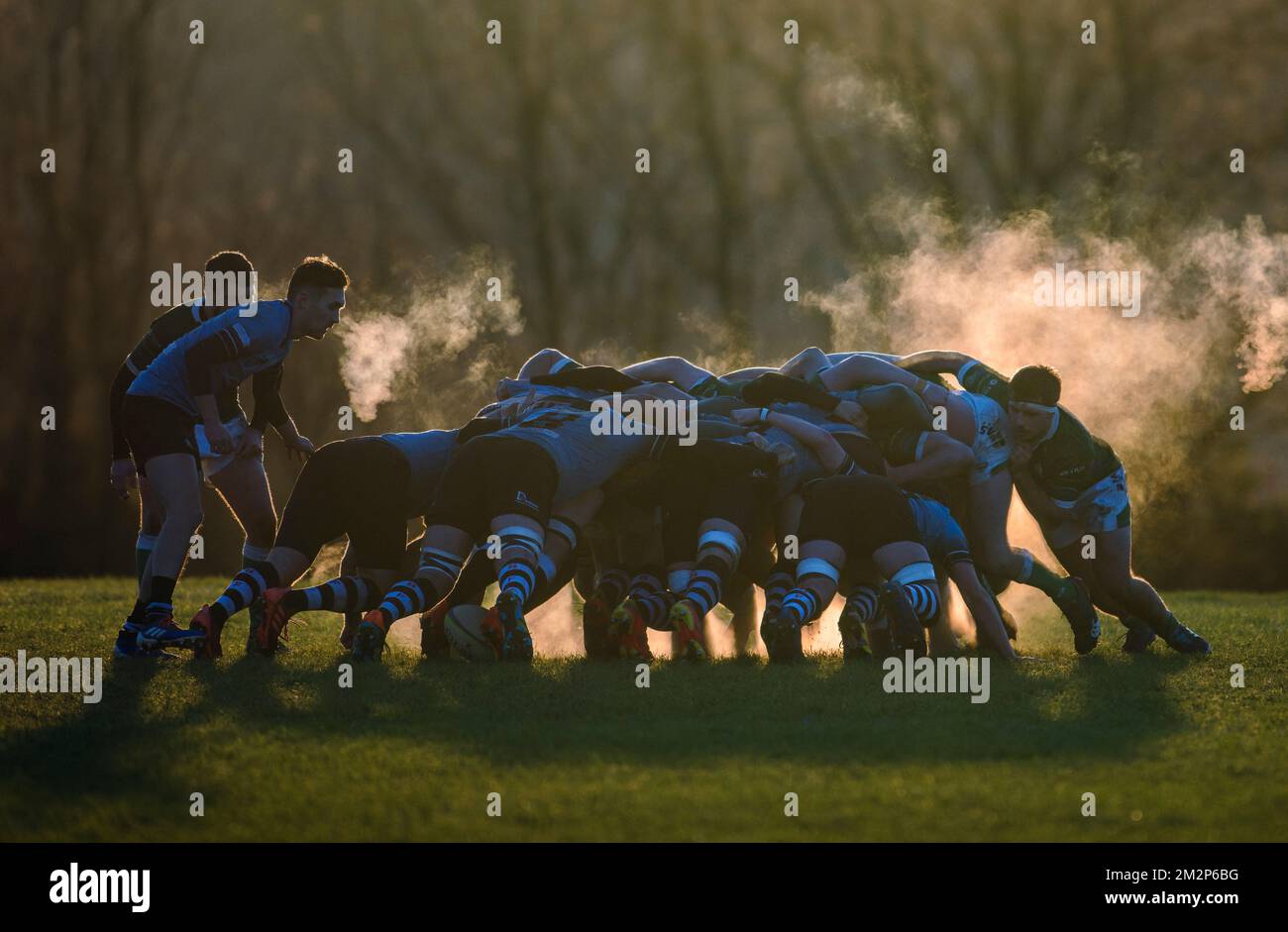 Rugby players in action Stock Photo - Alamy