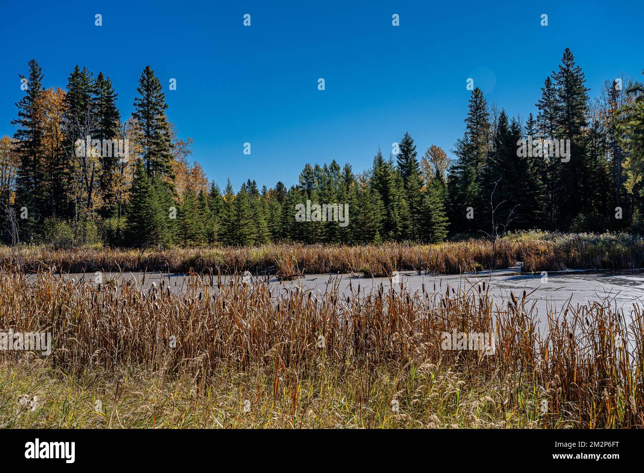 In prince albert saskatchewan hi-res stock photography and images - Alamy