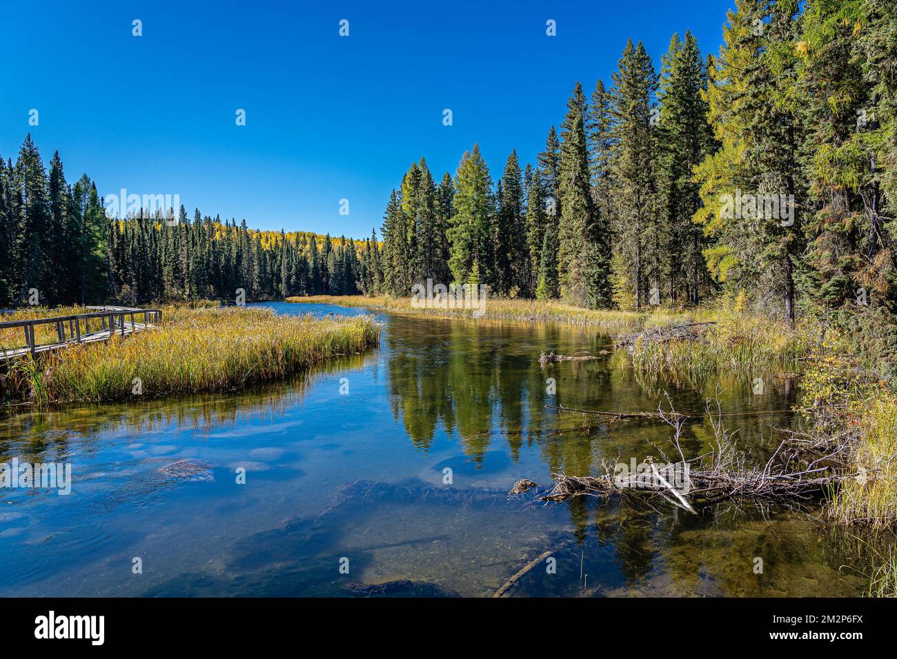 A beautiful view of a lake at Prince Albert National Park in ...