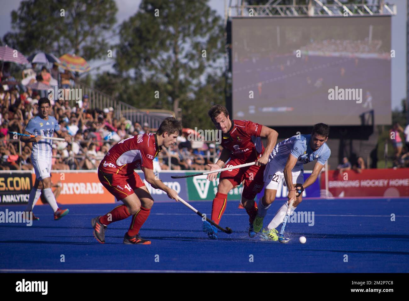 Belgium's Augustin Meurmans, Belgium's Maxime Plennevaux and Argentina ...