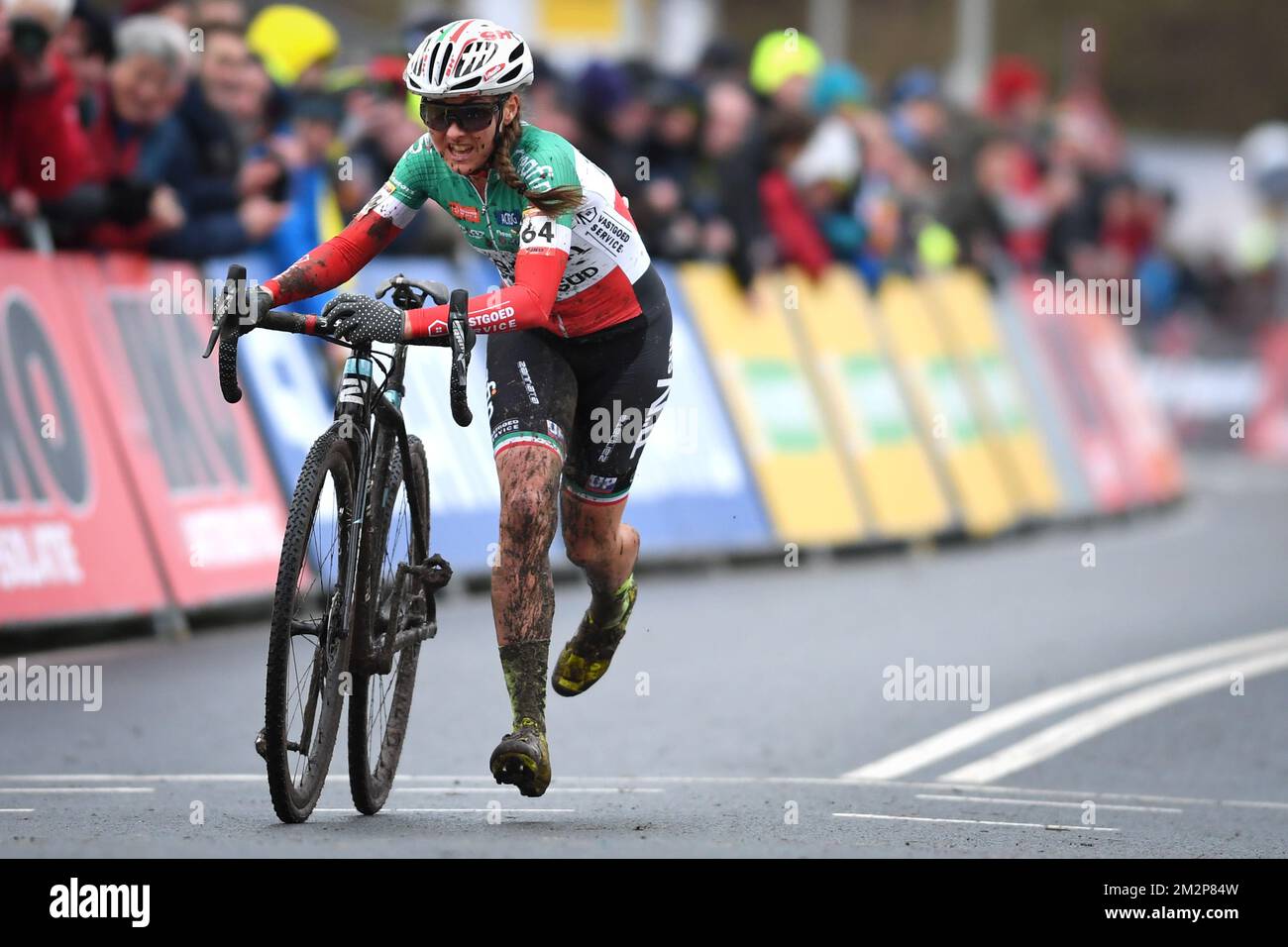 David lechner hi-res stock photography and images - Alamy