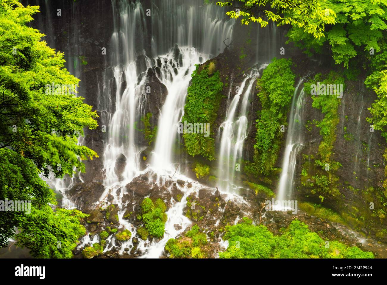 The Shira-Ito Falls (shira=white + ito=thread) on the Shiba River are a ...