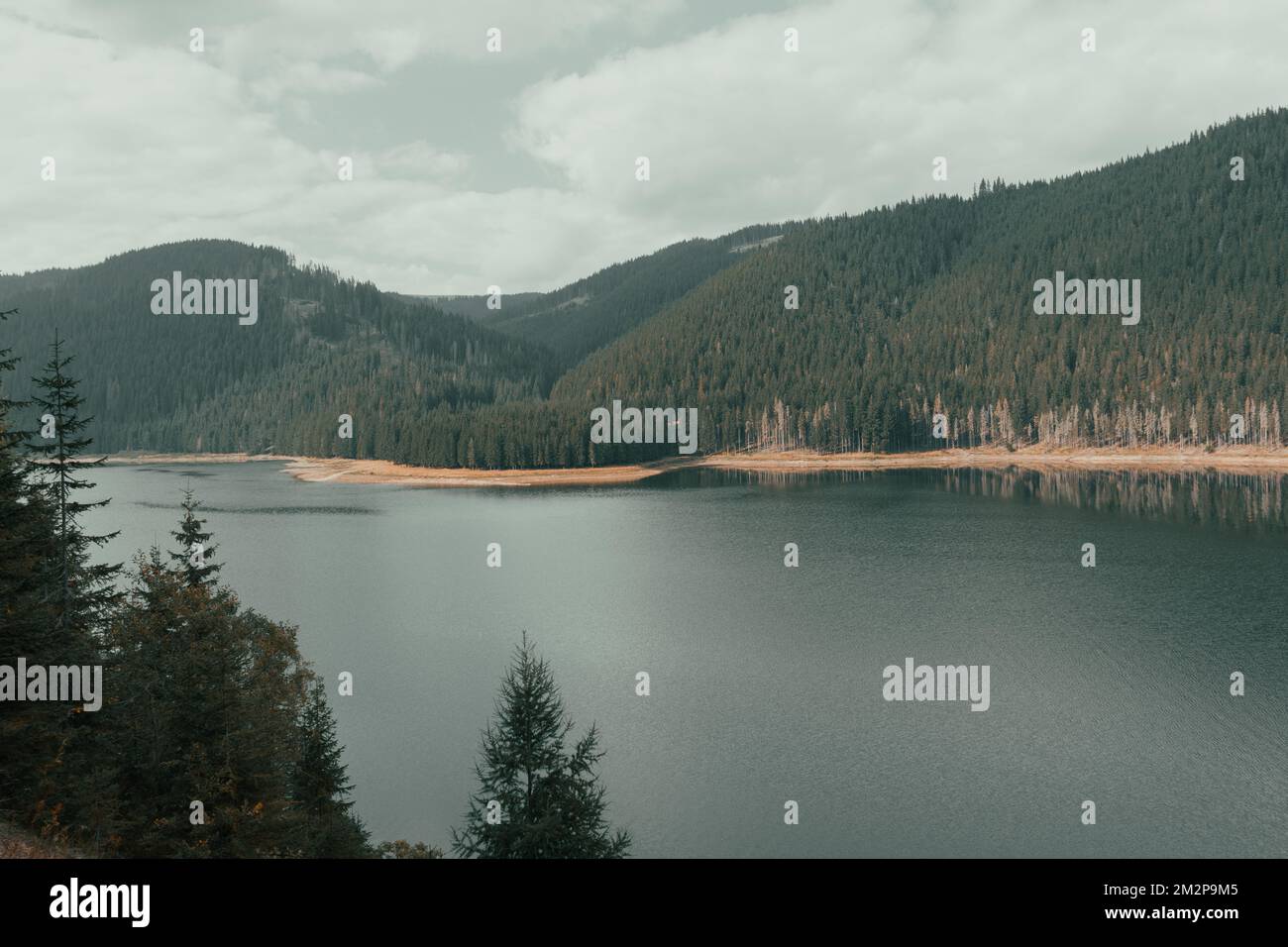 A beautiful landscape of the Vidra Lake on a cloudy day Stock Photo - Alamy