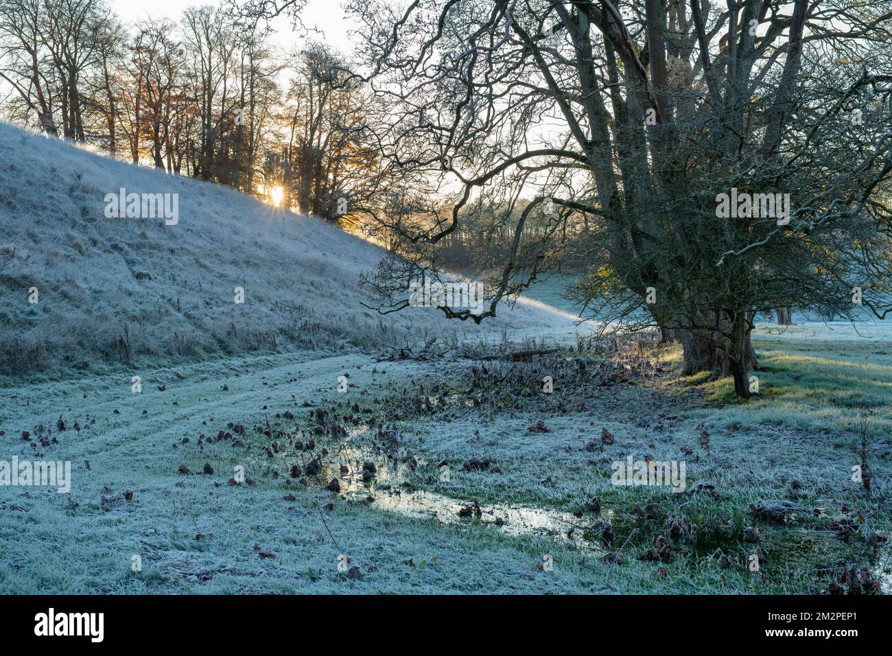 Trees and frost along the river leach on the Hatherop estate in the ...
