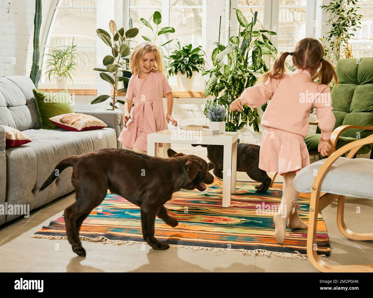 Two lovely little girls, children playing with two purebred dogs, brown ...