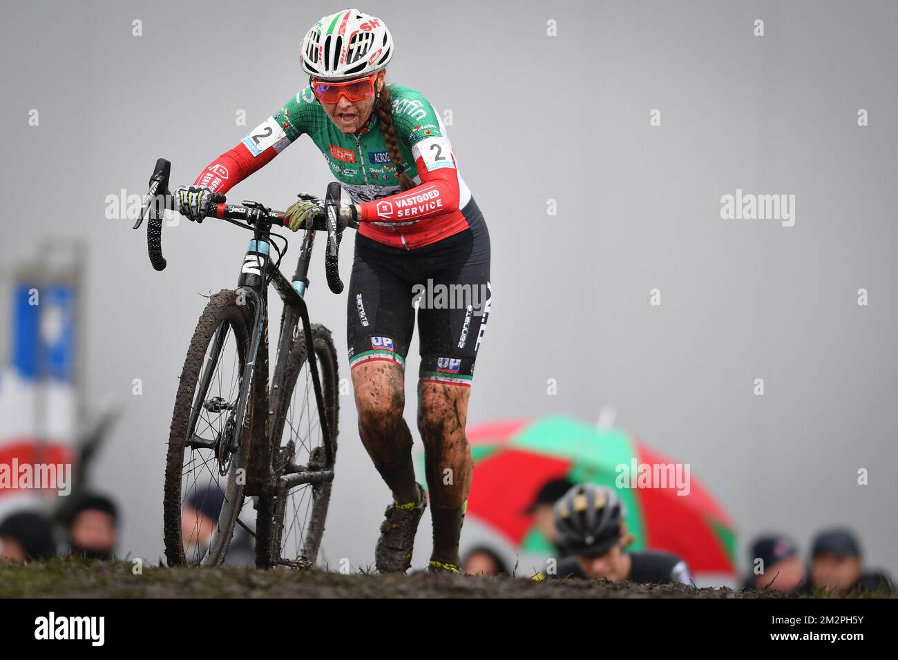 David lechner hi-res stock photography and images - Alamy