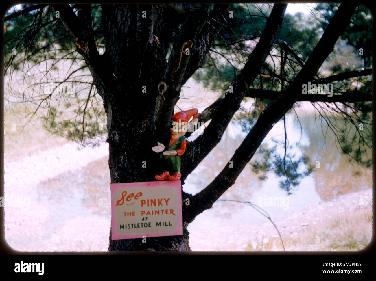 Elf in tree, Santa's Land , Amusement parks, Elves. Edmund L. Mitchell ...