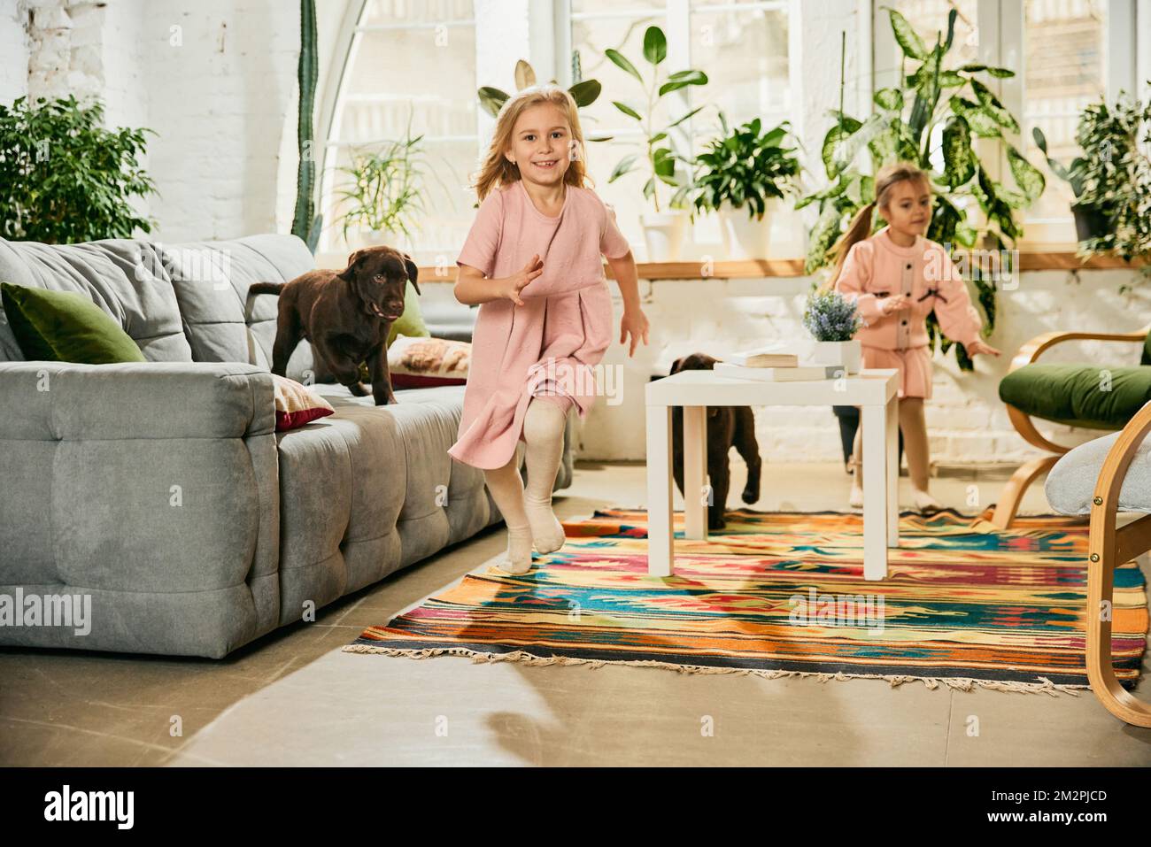 Two cute little girls, children, sisters with two purebred dogs, brown ...